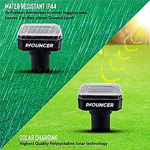 P-OUNCER Solar Mole Repellent (4 Pack): Ultrasonic Pest Repeller for Rats, Mice, Voles and Gophers, Waterproof Solar Powered Stakes for Garden and Yard, Outdoor Snake Deterrent, Humane Pest Control