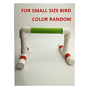 Hypeety Small Bird Parrot Stand Perch Table Top Stand Playground Grind Perch Swing Training Playstand Exercise Chew Toys for Budgies Parakeet Cockatiel Conure Finch (Perch, M)