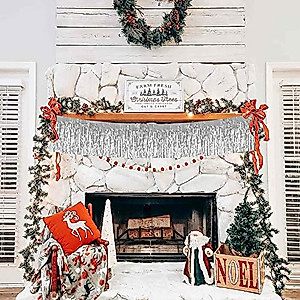 BEISHIDA 3 Packs Metallic Foil Fringe Garland Silver Wall Hanging Tinsel Fringe Banners for Car Parade Floats Bridal Shower Wedding Birthday Easter Graduation Holiday Party Decoration(30 Feet)