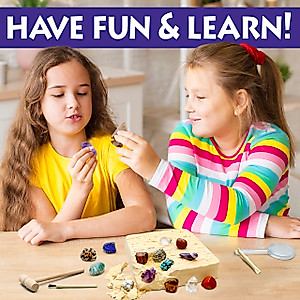 DANCING BEAR Gem Dig Kit - Excavate 16 Gems & Crystals Including Arrowheads, Quartz, Amethyst - STEM Education Gift Set for Kids