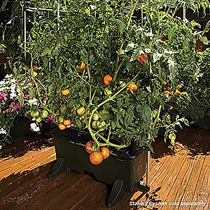 Earthbox Garden Kit, Green (Pack of 4, Standard)