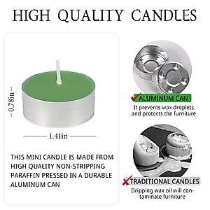 Tea Lights Candles - 12 Pack Green Tealights Candle Scented Green Tea Small Candle for Home, Holiday, Wedding & Party,Dinner Table, Halloween Christmas and Holiday (Green Tea)