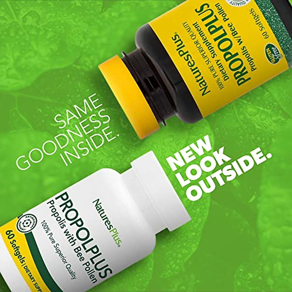 NaturesPlus Propolplus - 180 mg, 60 Softgels - Quality Bee Propolis Supplement with Bee Pollen - 60 Servings