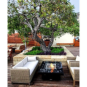 COOKE Custom Square Glass Fire Pit Windscreen, 3/16" Thick Glass, Silver Clamps with No Skid Rubber Feet, You Choose The Size (30" x 30" x 8")