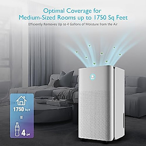 Ukoke 1750 Sq. Ft Ukoke Portable Dehumidifier for Medium Spaces | Efficient 32 Pints/Day Dehumidification, 3 Smart modes, Auto Drainage | Whisper-Quiet, Ideal for Basements, Bedrooms, RV