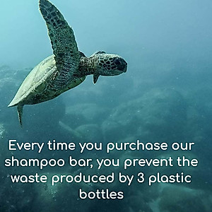 Pacific Spirit Bar Shampoo for normal hair with Coconut Oil & Raspberry, Rich foam, Sulfate-Free, Soap-Free, Zero Waste, Vegan, Eco-Friendly, 3.53 Oz