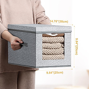 Homsorout Fabric Bins for Storage - Decorative Storage Basket with Lid, Clothes Storage Cubes with Side Window, Collapsible Storage Containers for Home, Deep Shelves, 4 Pack, Light Gray