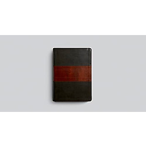 ESV Study Bible, Large Print (TruTone, Forest/Tan, Trail Design)