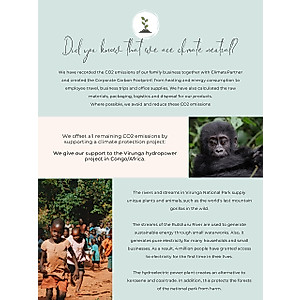 Joli Coon Will you be my bridesmaid scratch card - Bridesmaid proposal with envelope - Eucalyptus