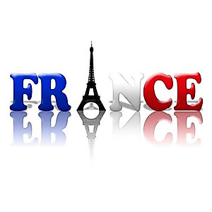 CafePress France Tricolore And Eiffel T Mug Ceramic Coffee Mug, Tea Cup 11 oz