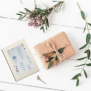 EXCEART 2 Sets of Dried Flower Storage Bags Self Sealing Bag Simple Plant Specimen Pouch Resealable Bags for Packaging Food Storage Containers for Beans Coffee Snack