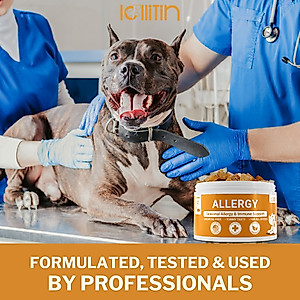 Lollitin Dog Supplement - Made in USA - All Natural - Dog Chews 120 Count - Dog Supplements for Small, Medium, Large Dogs, All Breeds (Allergy)