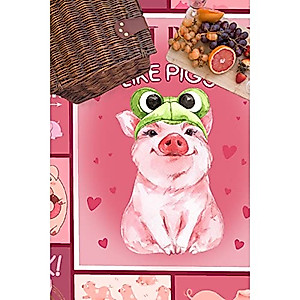 Lokesvararaja Cute Pink Cartoon Pig Plush Throw Blanket Red Mushrooms Natural Wild Fungus Fleece Throw Blanket Botanical Fuzzy Blanket for Couch Bed Sofa Pets (40"X30")