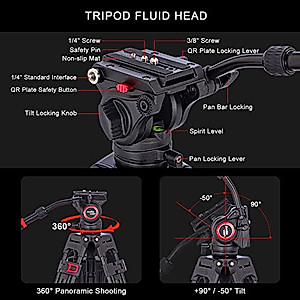 Video Tripod, Avella A154P Video Camera Tripod Monopod Aluminium Alloy 78.3 inch for Canon Nikon Sony Olympus Panasonic DSLR Camera