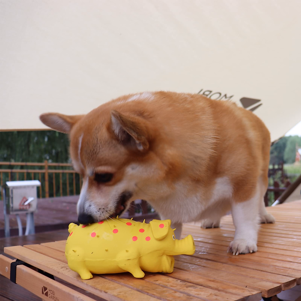 HCHYEY Pig Squeaky Dog Toy, 2 PCS Interactive Rubber Dog Chew Toy - Durable Latex Spot Grunting Pig Toys That Oink for Small Medium Large Dogs (Yellow, Green)