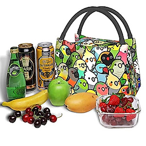 FACITE Kids Lunch Box for Girls, Insulated Small Cute Lunch Bag Women Gifts,Fresh Reusable Lunch Bag for Girls, Green Soft Foldable Anime Teen Lunchbox for School Outdoor, Bird Parrot