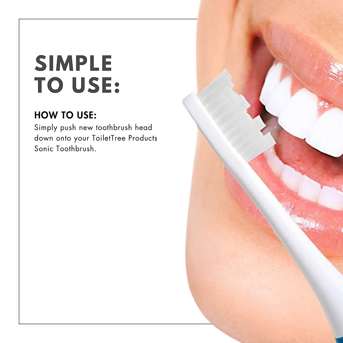 ToiletTree Products Poseidon Replacement Brush Heads for Poseidon Rechargeable Sonic Toothbrush, 2 Pack