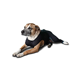 BENEFAB Therapeutic Comfort Suit for Dogs — Lightweight Far-Infrared Jacket for Canines of All Ages — Relaxing FIR Compression Suit Soothes Muscles, Joints, and Pain (Large)