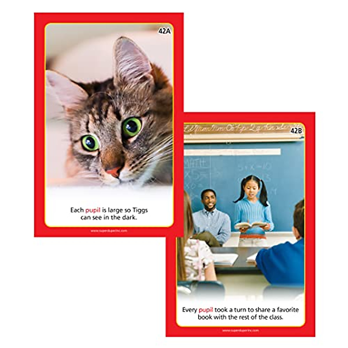 Super Duper Publications | Photo Multiple Meanings Super Fun Deck | Expand Vocabulary and Learn Definitions of English Words