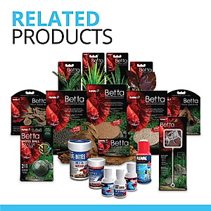 Fluval Betta Premium Aquarium Kit, 2.6 Gallon