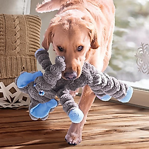 KONG Shakers Crumples Jumbo Floppy Plush Dog Toy (Elephant)
