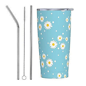 20oz Tumbler Splendid Little Daisy Double Wall Vacuum Insulated Coffee Mug with Lid and Metal Straw Brush Reusable Stainless Steel Water Bottle Travel Cup Gifts for Car Ice Drinks Hot Beverage