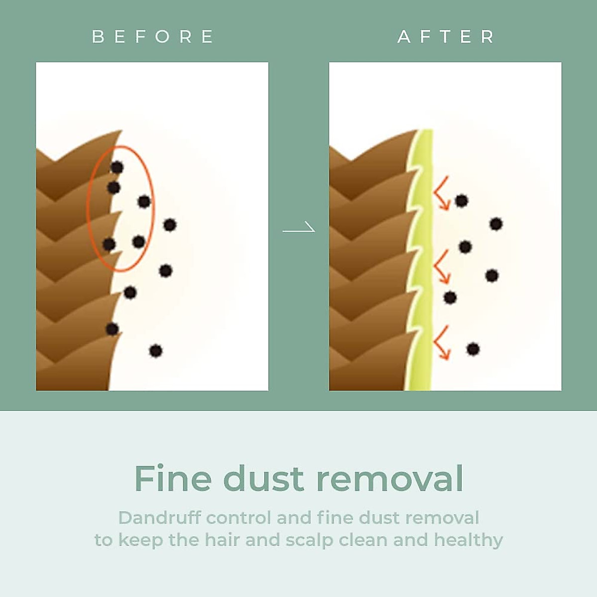 AMOS PROFESSIONAL Pure Smart Shampoo [Fresh – For Oily Scalp] 17.6oz (500g) | Sebum Care & Scalp Soothing | Korean Hair Salon Brand