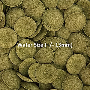 Ocean Nutrition Grazing Wafers 5.3-Ounces (150 Grams) Jar