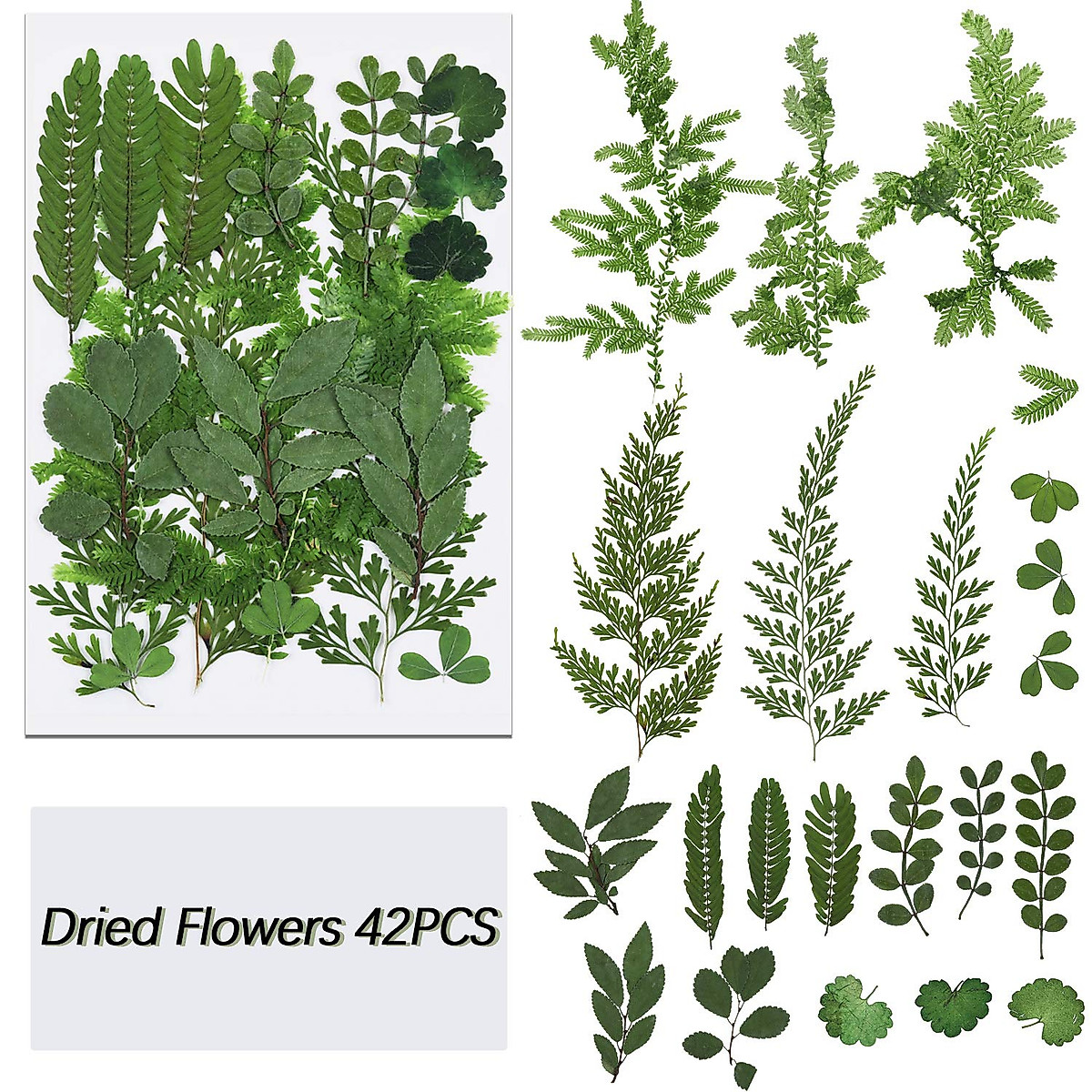 42 Pieces Dried Pressed Leaves Dried Flowers for Resin Real Assorted Dried Greenery for Pressed Leaf Art Craft DIY Embellishment Decorations, 7 Styles