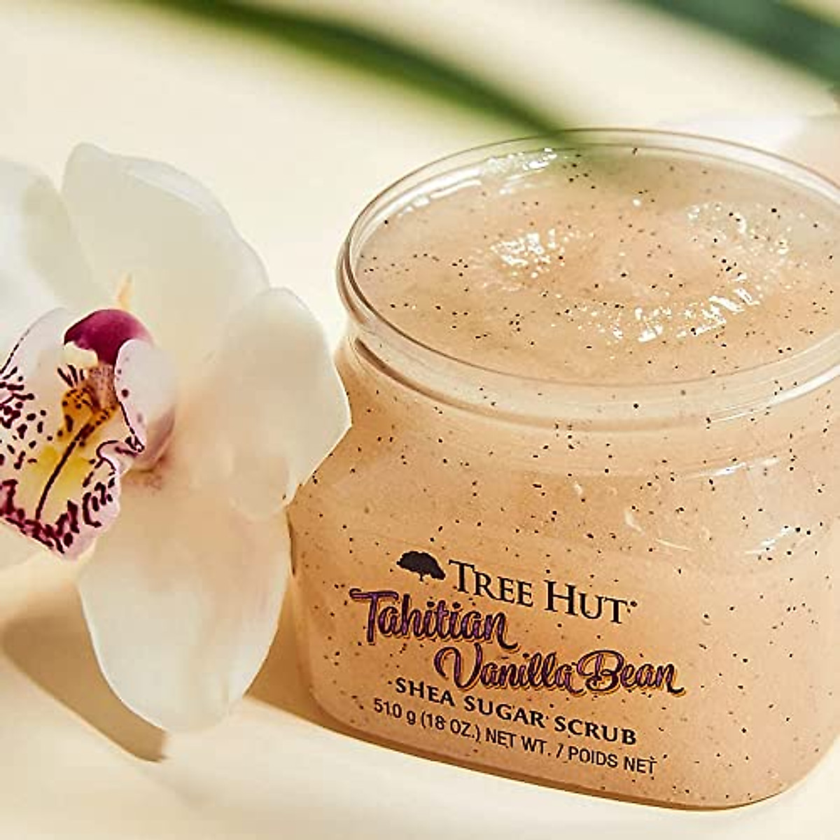 Tree Hut Tahitian Vanilla Bean Shea Exfoliating Sugar Scrub, Tahitian Vanilla Bean, 18 Oz