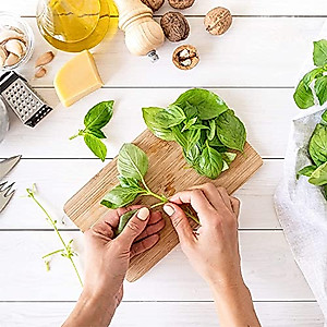 Seedra.US 300+ Italian Large Leaf Basil Seeds for Indoor, Outdoor and Hydroponic Planting, Non GMO Heirloom Seeds for Home Garden - 1 Pack