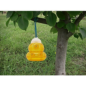 PIC Yellow Jacket & Wasp Trap