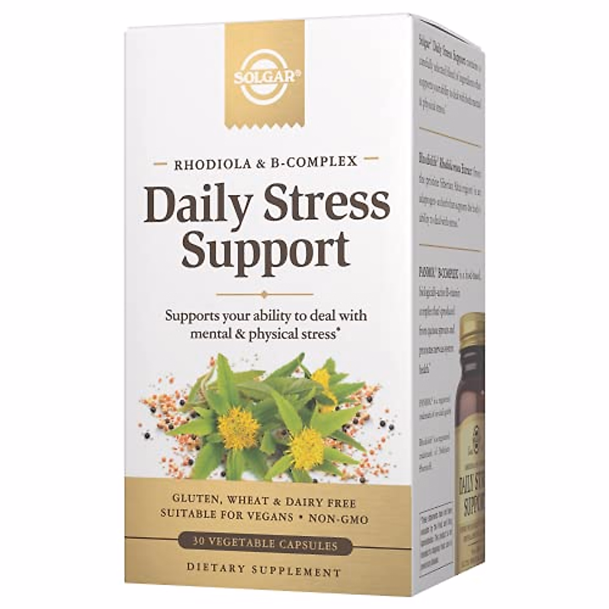 Solgar Daily Stress Support, 30 Vegetable Capsules – Build Resistance to Stress & Mental Fatigue – Support Ability to Stay Calm – Contains Clinically-Studied Rhodiola & B-Complex, Non-GMO, 30 servings