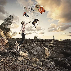 SOTOGO 14 Pieces Walking Animal Balloons Pet Dog Balloons Dog Balloon Air Walkers, Kids Gift Birthday Party Décor