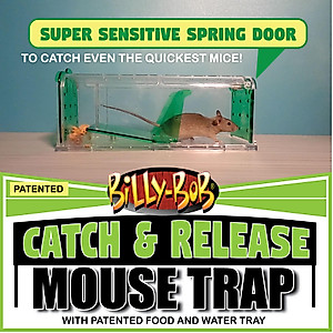 Billy Bob 2 pk Catch and Release Mouse Trap. Patented. Easy and Humane Way to Remove Mice. Effective no-Kill Mouse Trap.
