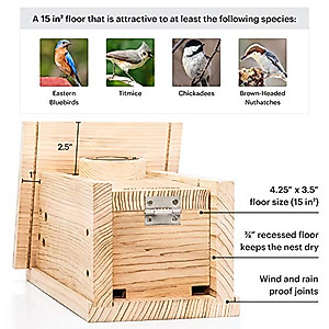 WHITEHORSE Premium Cedar Bird House - Weatherproof Design with a 15 sq inch Floor - A Bluebird Box House Built to NABS Specs - Enjoy Bird Watching While Supporting Birds (EABL)