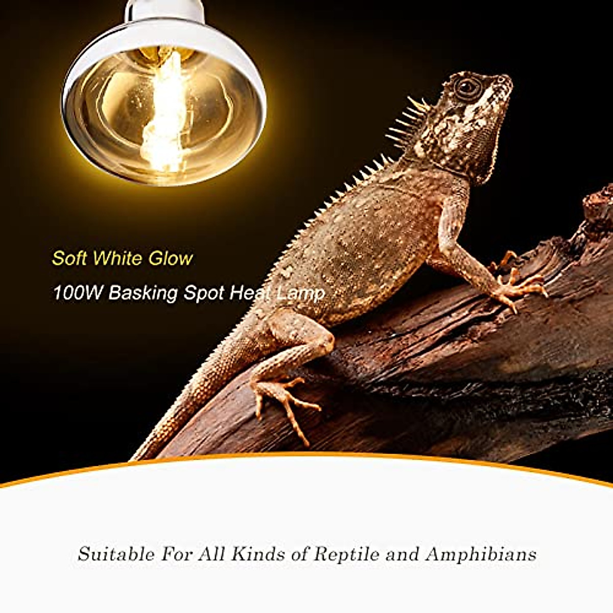 100W Reptile Heat Lamp Full Spectrum UVA Basking Spot Lamp Soft White Light Sun Lamp for Reptile and Amphibians,Tortoise Lizard,Bearded Dragon,Snake,2 Pack