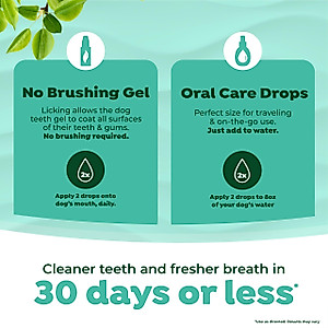 TropiClean Fresh Breath No Brush Total Care Kit | Dog Dental Hygiene| Dog Teeth Cleaning Made Easy | Water Additive No Brushing Toothpaste for Dogs