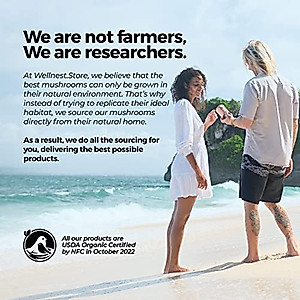 Wellnest.Store Lions Mane Mushroom Organic Supplement (Hericium Extract) 60 Veggie Caps - Immune Support Supplement; Improve Cognitive Function + Promote Vitality, Protect Nerve Cells