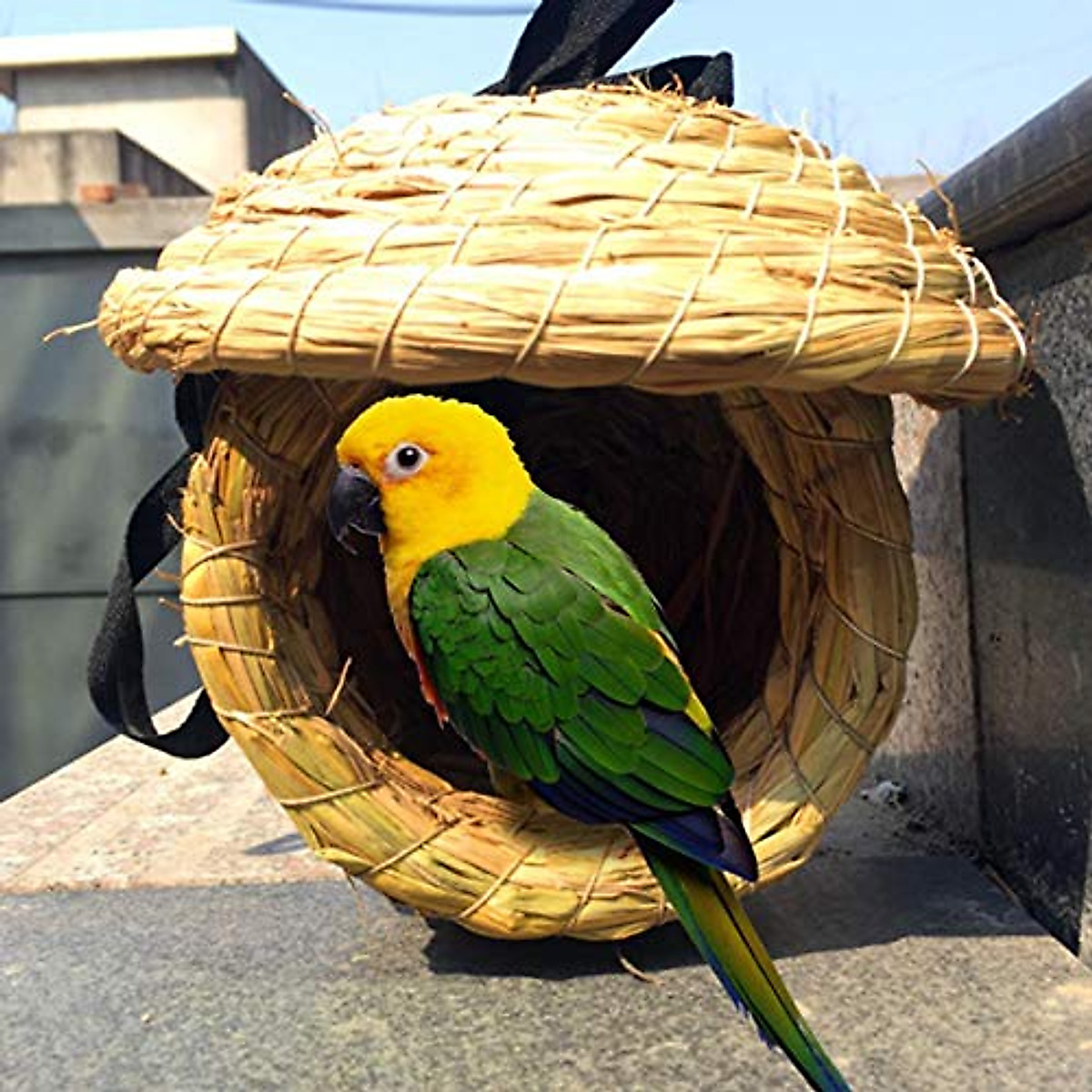 Hamiledyi Birds Nest Straw Eco-Friendly Straw Birdhouse 100% Natural Fiber Bird Nest Hut Cozy Resting Breeding Place with Birds Toy for Medium-Sized Parrots Conures Cockatiel,Large