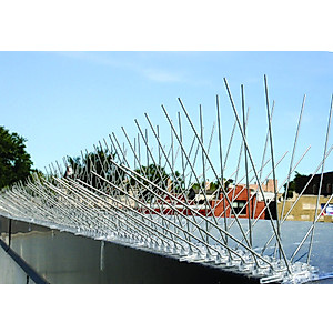 Bird-X Stainless Steel Bird Spikes, 8-inch Extra-Wide Spikes, Bird Spikes for Pigeons and Other Small Birds, Easy to Install, Contains 2 ft. Strips, Covers 100 Linear Feet Area, EWS-100