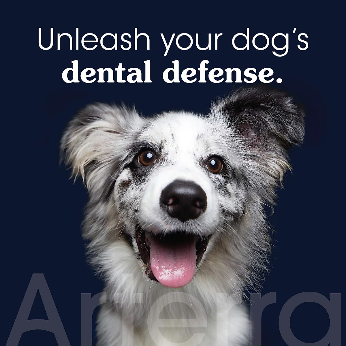 Remineralizing Dog Toothpaste – Vet-Grade, with Nano-Hydroxyapatite, Reverses Early-Stage Decay, Cleans Teeth, Reduces Tartar, Freshens Breath by Arterra Pet Science, Plant-Based, Natural Flavor, 4oz