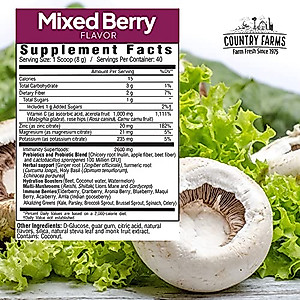 COUNTRY FARMS Immune Defense Superfoods Drink Mix, Supports Immune Defense, Vitamin C with Black Elderberry, Supports Hydration, with Probiotics and Prebiotics, Berry Flavor, 40 Servings