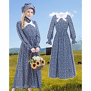 NSPSTT Women's Colonial 1800s Prairie Pioneer Costumes Dress, Blue, Large