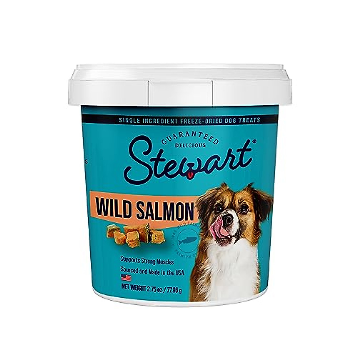 Stewart Freeze Dried Dog Treats, Wild Salmon, Grain Free & Gluten Free, 2.75 Ounce Resealable Tub, Single Ingredient, Made in USA, Dog Training Treats