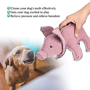 Pssopp Soft Pig Animals Shapes Dog Toy Stuffed Pet Chew Toys Teeth Cleaning Toys for Dogs Puppies(Pig)