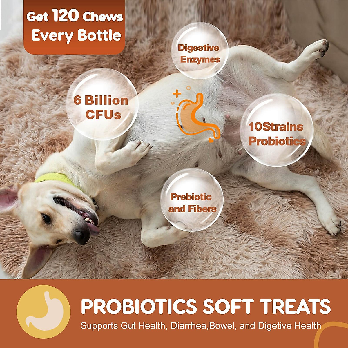 Probiotics for Dogs, Dog Probiotics for Digestive Health, Plus Pumpkin and Fish Oil, for Gut & Itchy, 120 Soft Chews