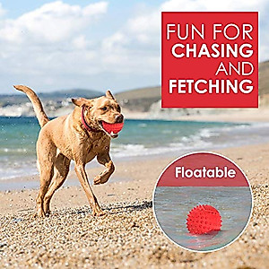petizer Squeaky Dog Ball Toy for Aggressive Chewers,4 Inches Durable Big Dogs Chew Spiky Ball, Floatable Rubber Pet Toys for Medium &Large Breeds, Red