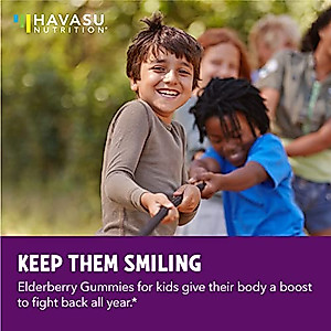 Elderberry Gummies for Kids with Zinc and Vitamin C | Potent, Herbal Immune Support for Kids with Antioxidants to Support Immune Defense | 60 Vegan Elderberry Vitamin C and Zinc Kids Immune Gummies