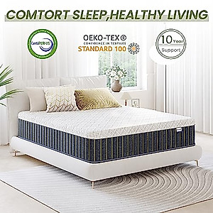 HOXURY Queen Mattress, 12 Inch Hybrid Mattress Queen Size, Memory Foam & Individually Wrapped Pocket Coils Innerspring Mattress in a Box, Pressure Relief & Cooler Sleeping